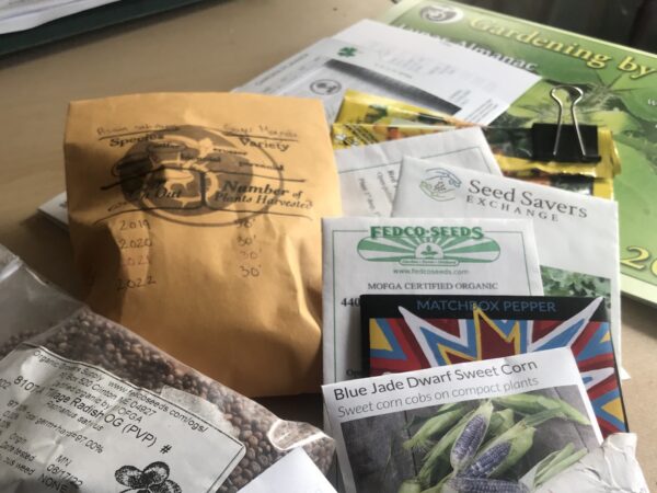 How to Pick Planting Days - Gardening by the Moon