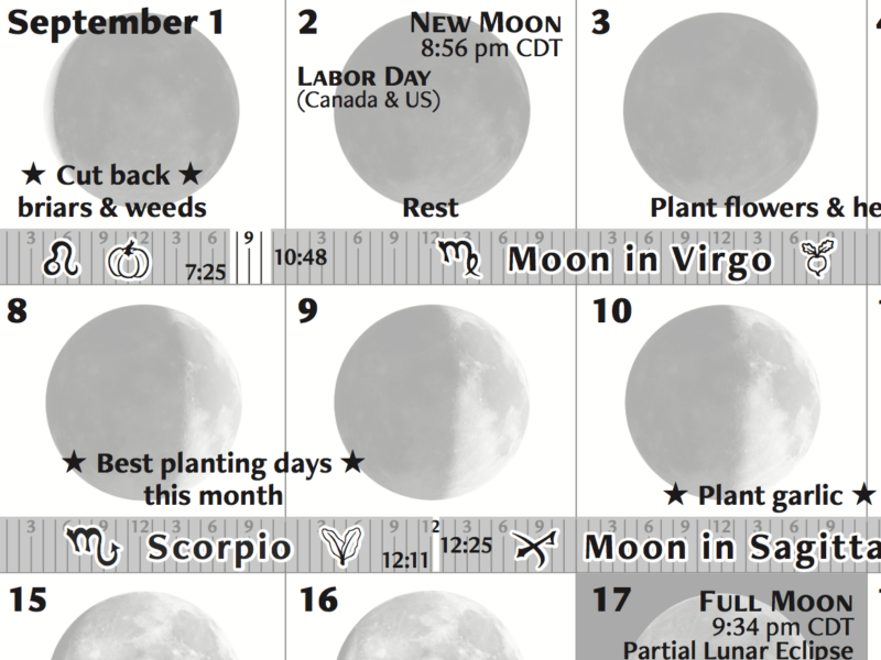 What's in a Moon Calendar? - Gardening by the Moon